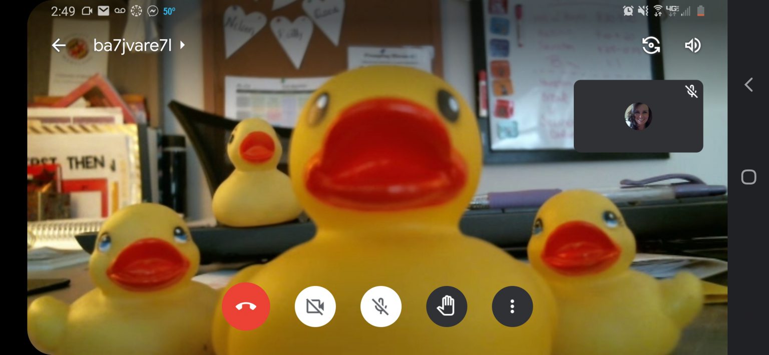 Ducks – All Willy Nilly